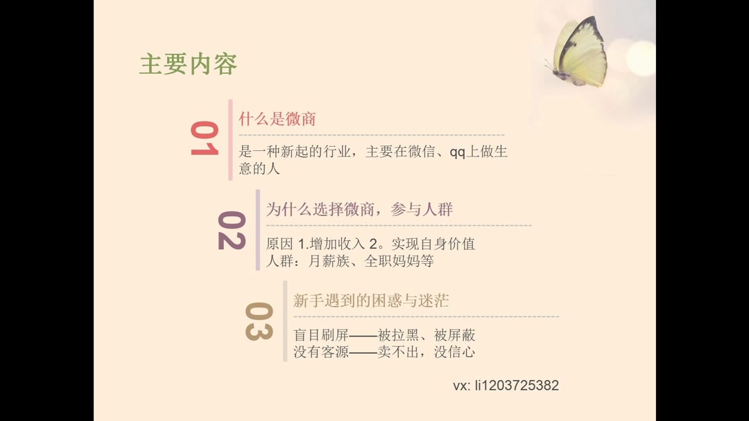 逐风微信营销教程——如何做微商 新手快速月入过万