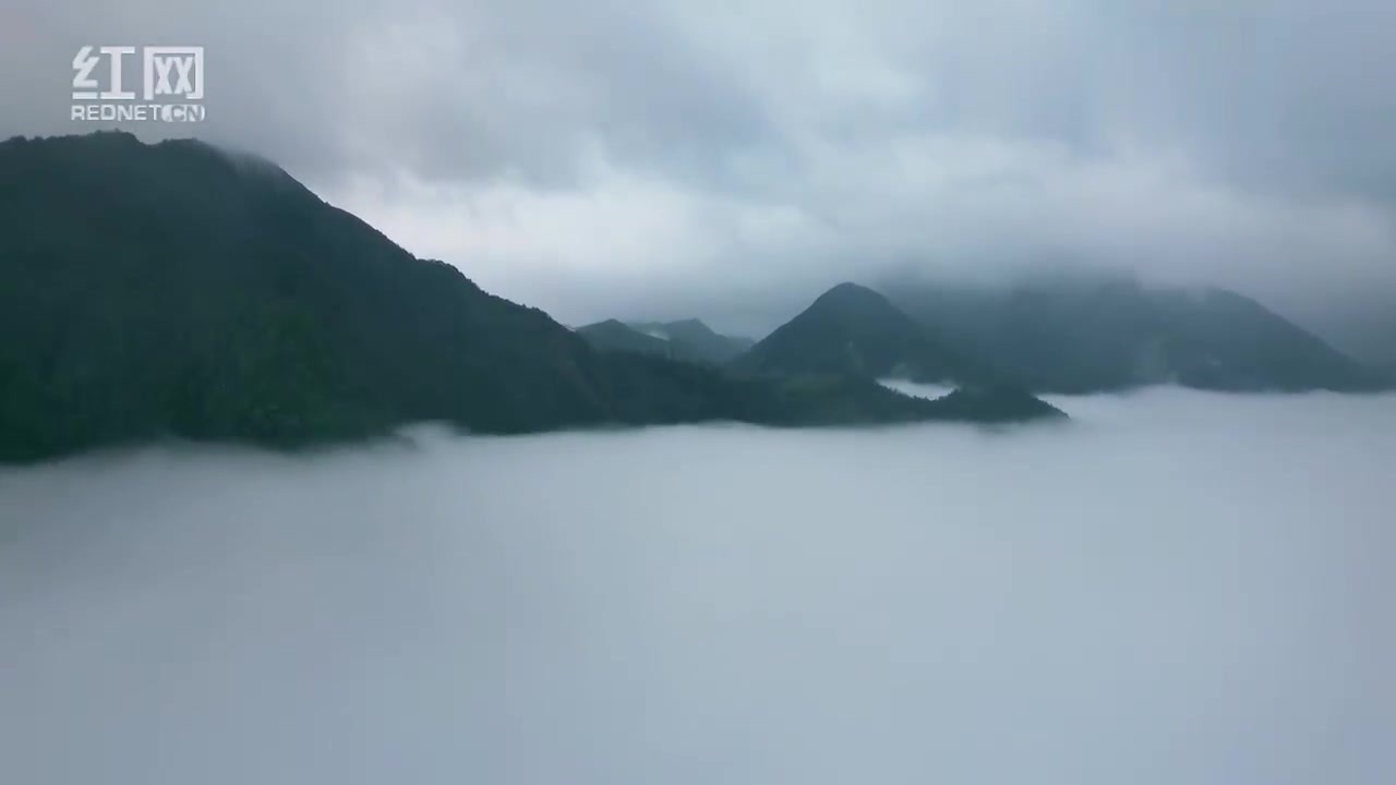 视频丨烟雨江南多娇九嶷