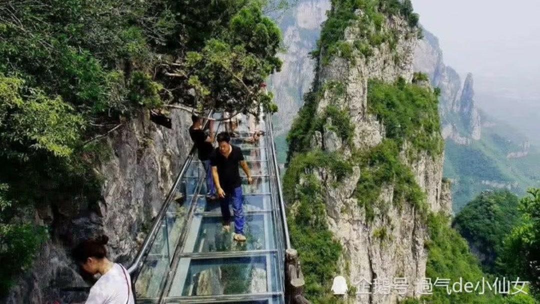 张家界玻璃栈道远近闻名,但上桥却必买它,网友:这钱花的真大头