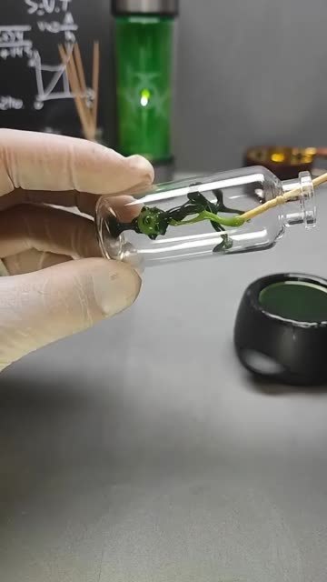 分离提纯,层析技术,追求纯净科学