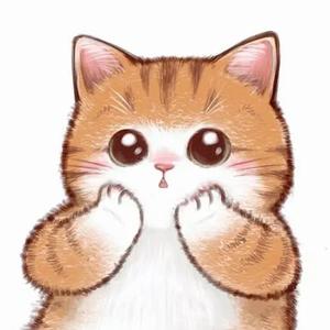 爱吃溜溜梅的念 