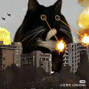 恩泽泽泽er 
