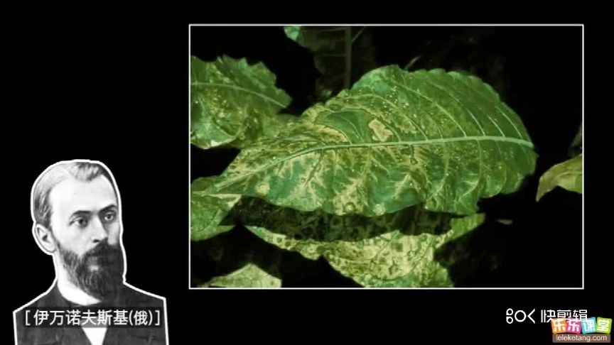 没有细胞结构的生命体——病毒