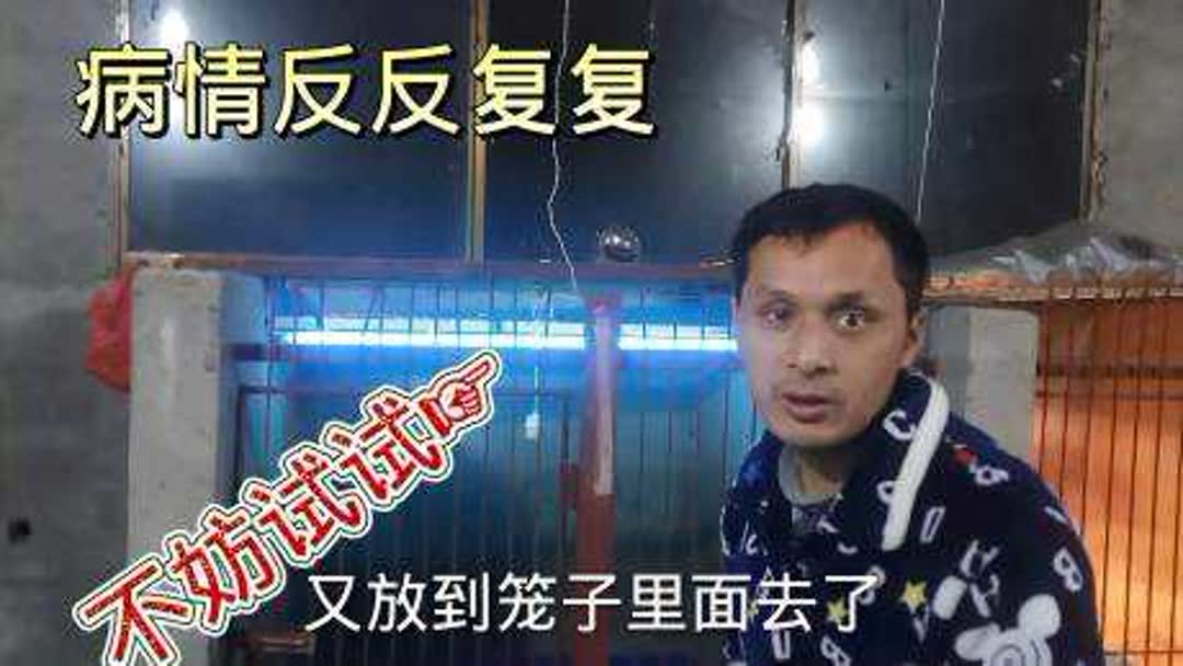 你的狗狗病情反复吗?也许消毒没做好,不妨试试紫外线消毒灯