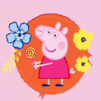 小西的玩具口袋 