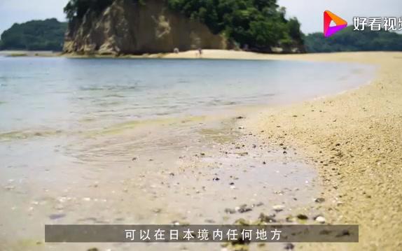 2020年支付宝会覆盖全日本,看来支付宝国际化不是梦想