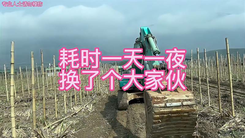 现在车是拉出来了,在前面倒车又给我弄得头皮发麻,四肢发抖