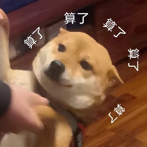 多巴胺尽头 