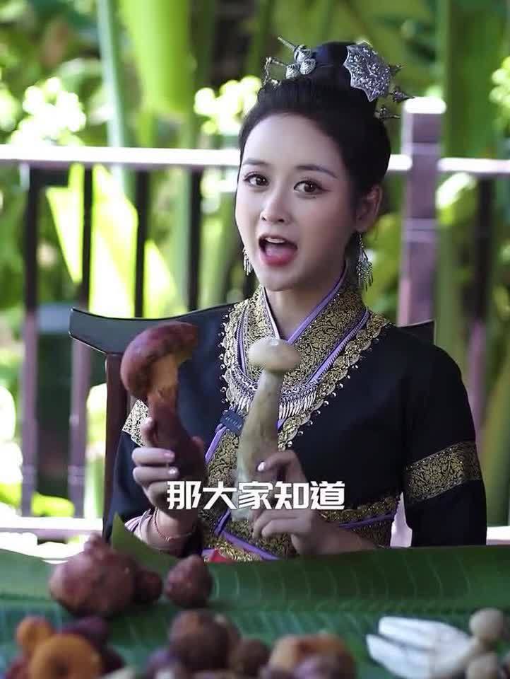 各式各样可食用的,红伞伞白杆杆你们吃过哪些?