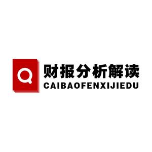 财报分析解读 