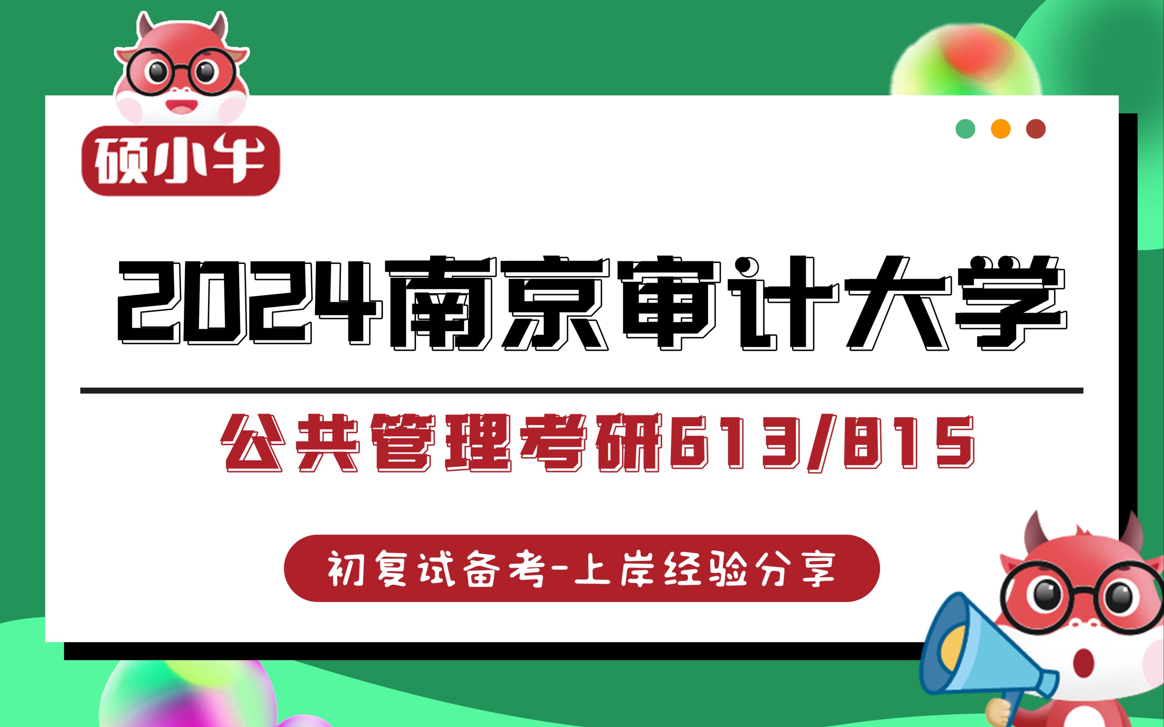 24南京审计大学公共管理考研/初复试备考上岸公开课/613+815专业课...