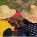 奔向富裕的生活 