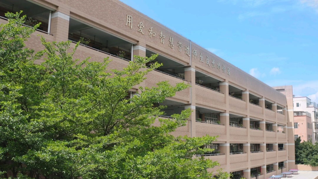 海豚班班级文化建设视频