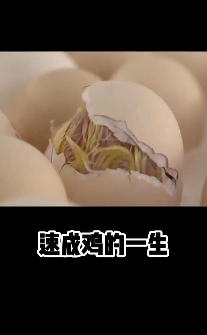 生命的开始便是终点
