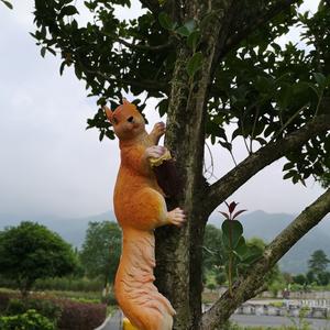 书香小阅 