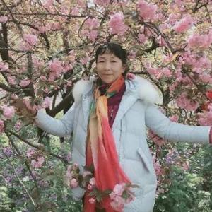 梅枝带你走天下 