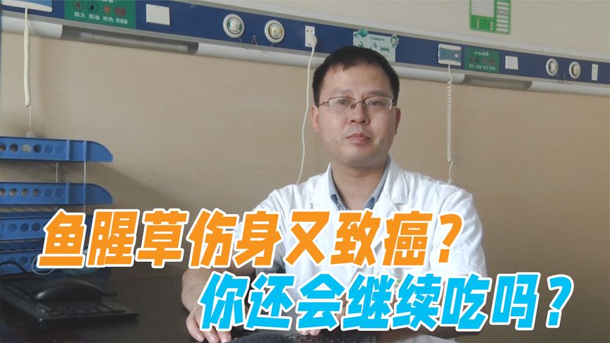 鱼腥草据说伤肾又致癌,医生却不这么认为,你还会继续吃吗?
