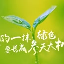 咸鱼翻身逆袭 
