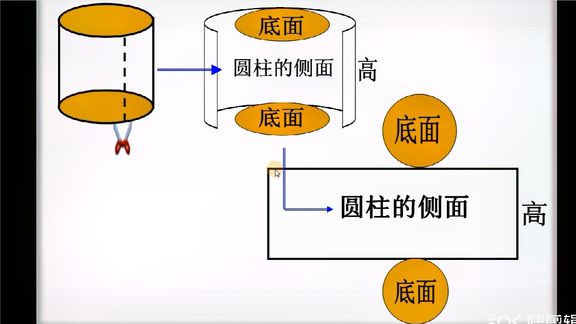 六年级下册圆柱的表面积