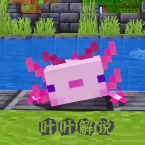 叶叶解说我的世界 