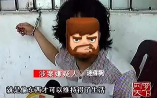 我的世界玩家对迷你世界的评价
