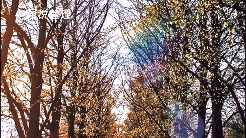 业务领先模型对企业战略制定的影响