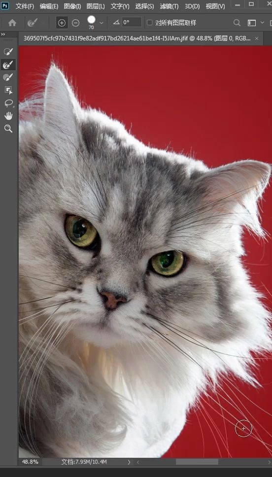 【PS教程】今天给大家表演一个自己抠自己~动物毛发,不存在的~