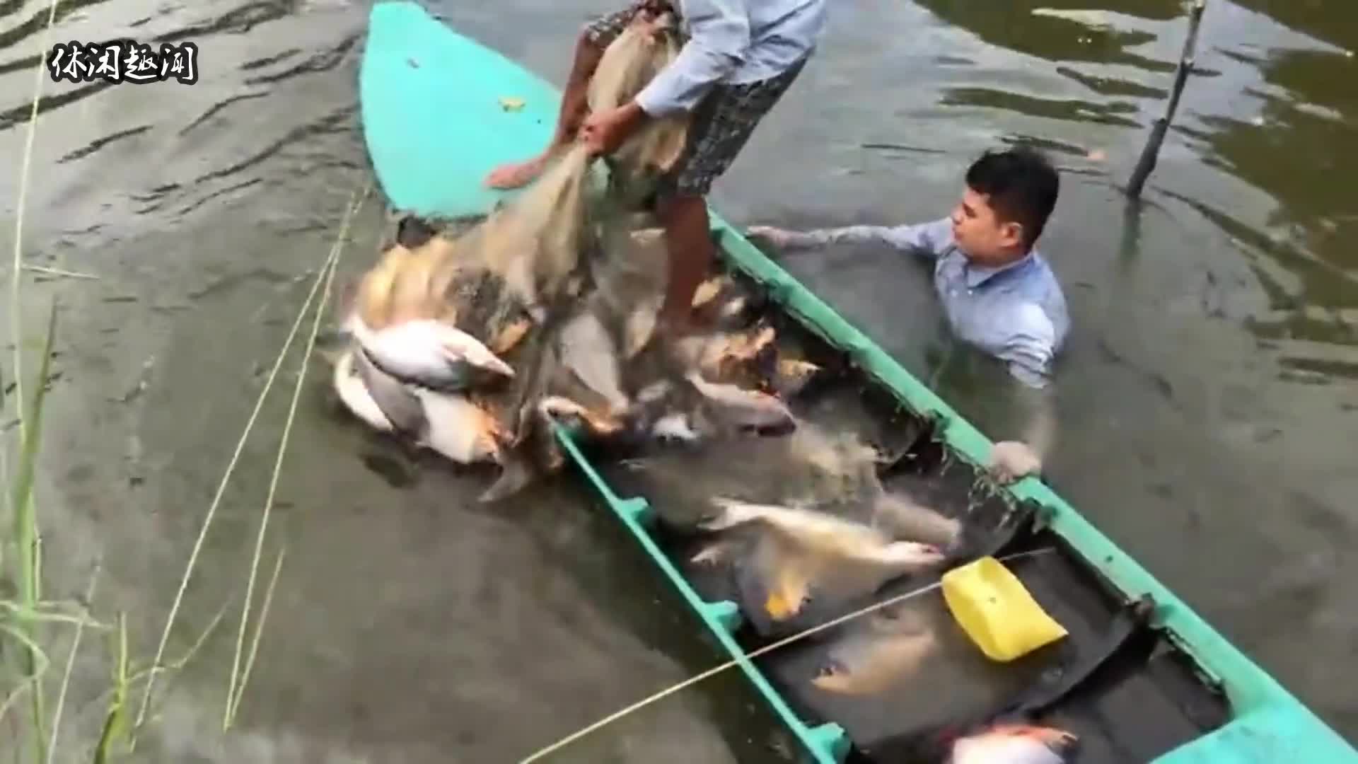 撒网捕鱼,一网比一网多,船都装不下了