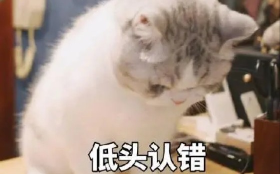 关于我在某些视频中发表不当言论的道歉(请不要再网暴我了)