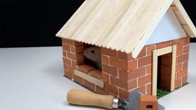 萌趣手工 如何手工给仓鼠建一个迷你的房子?