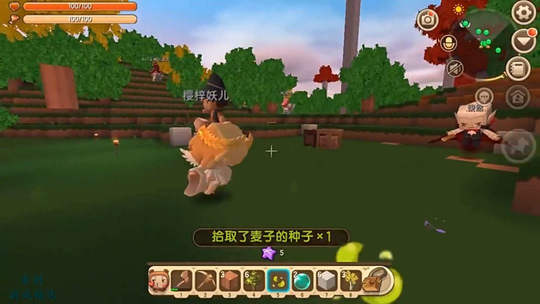 迷你世界精选:所有人收集白杨木盖房子打地基