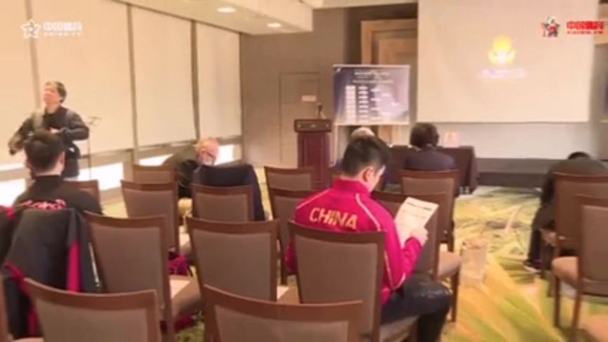 剪完才发现,字幕打的全是小胖…#樊振东 #国乒队