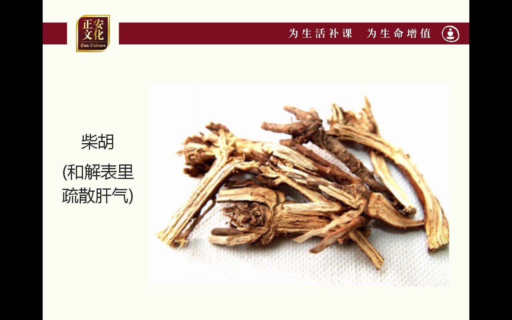 倪海厦老师弟子施合一经方药证学 4 解表药 06 柴胡1