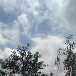 小杨同学在摸鱼 