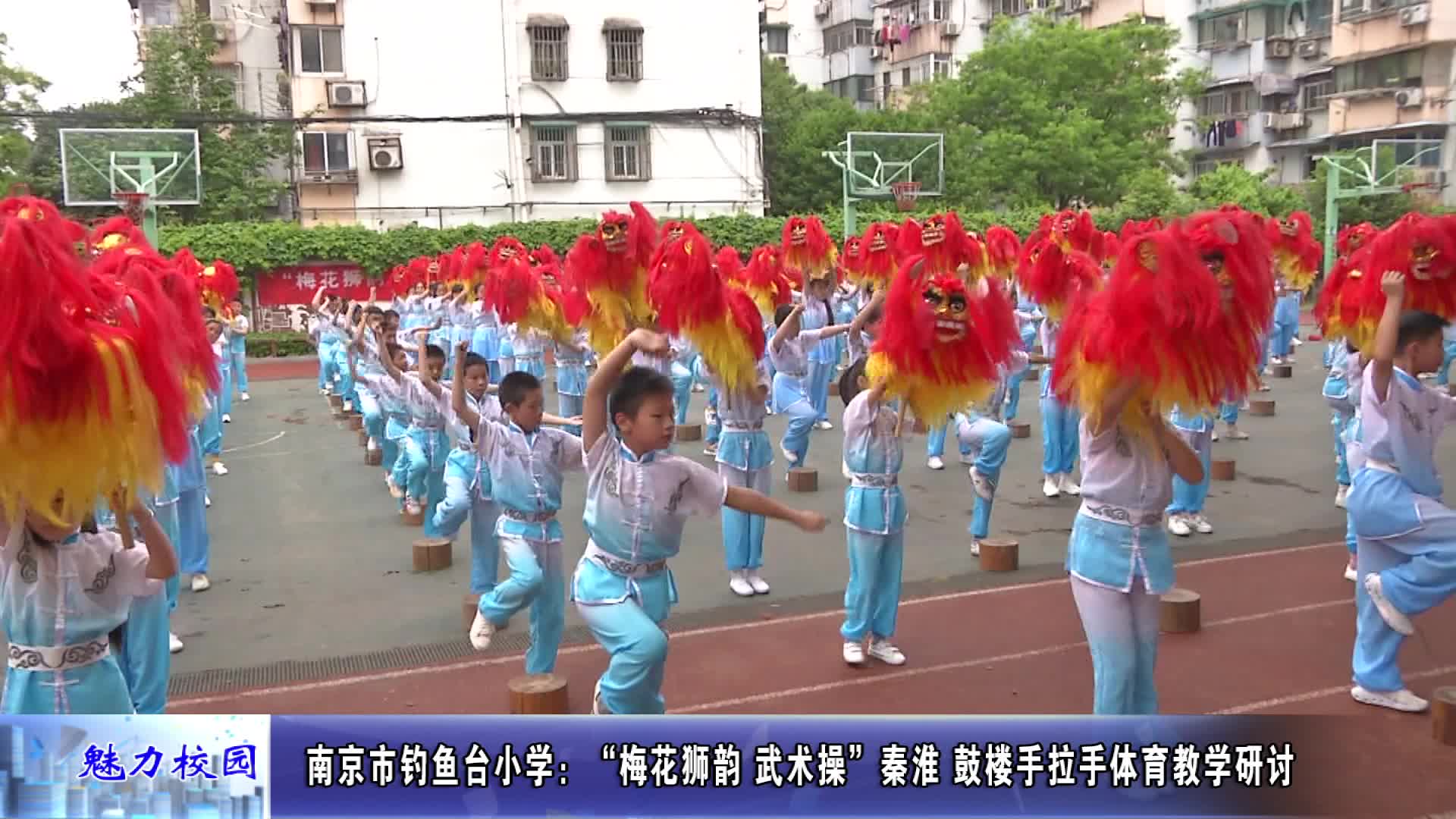 ...小学新闻(“梅花狮韵 武术操”秦淮 鼓楼手拉手体育教学研讨)(胡秋阳)