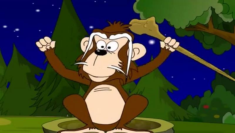 睡前教育故事 猴子捞月亮