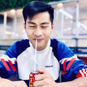 静园盆景老鸦柿 
