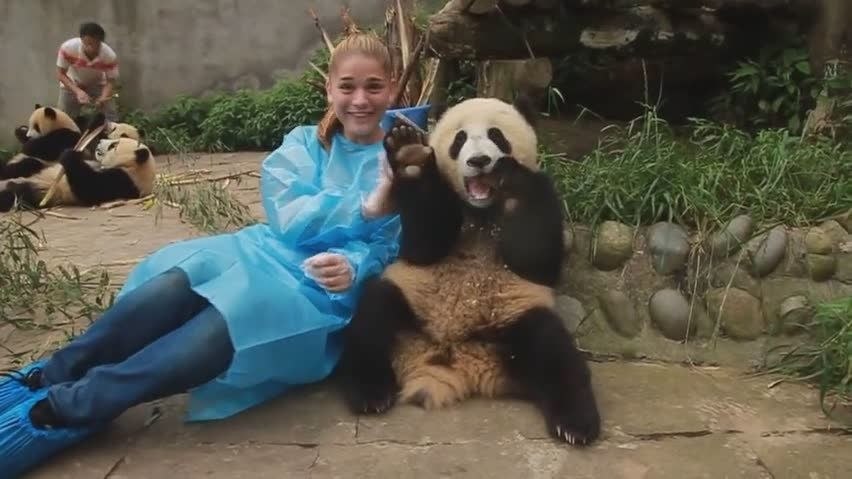 漂亮的美国小姐姐抵挡不住熊猫可爱,忍不住又搂又亲