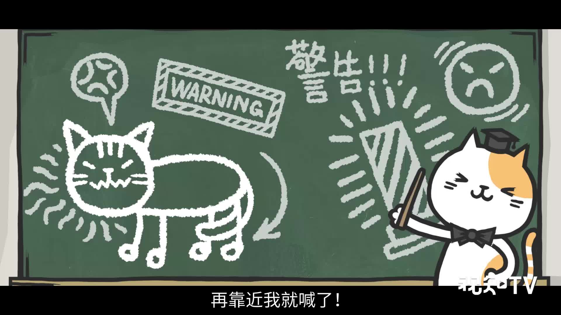 狗摇尾巴表示高兴,猫摇尾巴也是高兴吗?