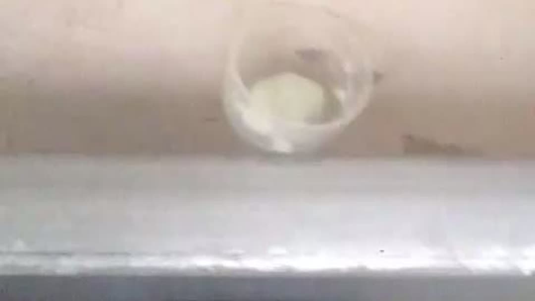 制作橡皮泥只用2种材料