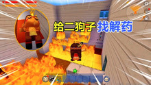 迷你世界生存:给二狗子找解药!吃巧克力还要放火炼药,能成功吗