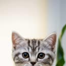 小可爱的小鲜肉ߍ 