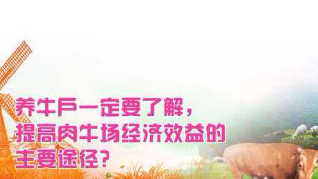 养牛户一定要了解,提高肉牛场经济效益的主要途径?