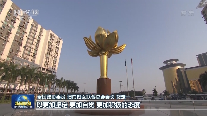 [视频]港澳各界人士热议十九届六中全会
