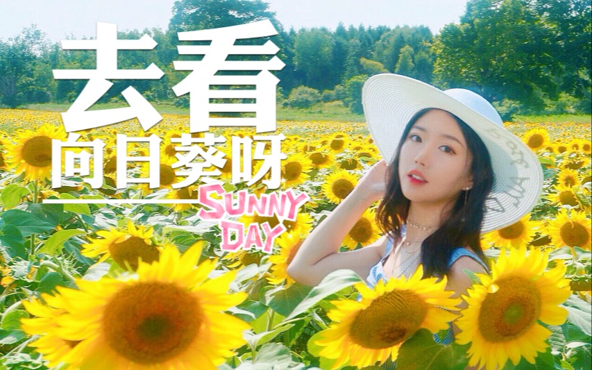 【阿狸MINI VLOG】和我一起去看向日葵呀~ | 周末VLOG | 航拍初尝试 ...