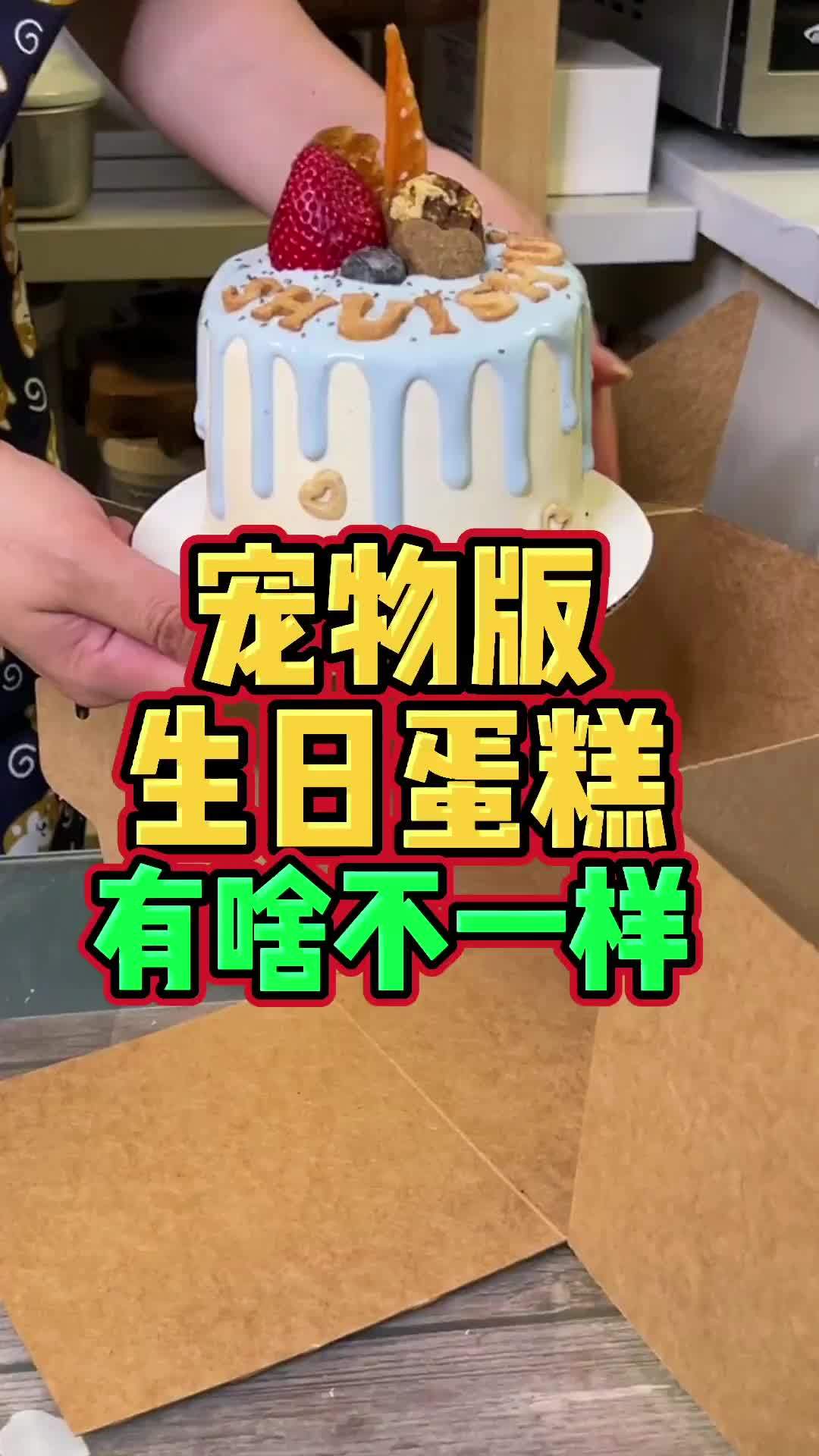 宠物版生日蛋糕,有啥不一样