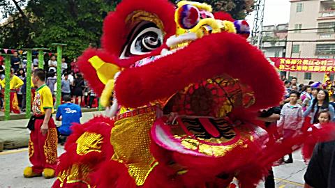 2018 南海江心村福神宝诞-中联黄飞鸿龙狮团 醒狮 收盘