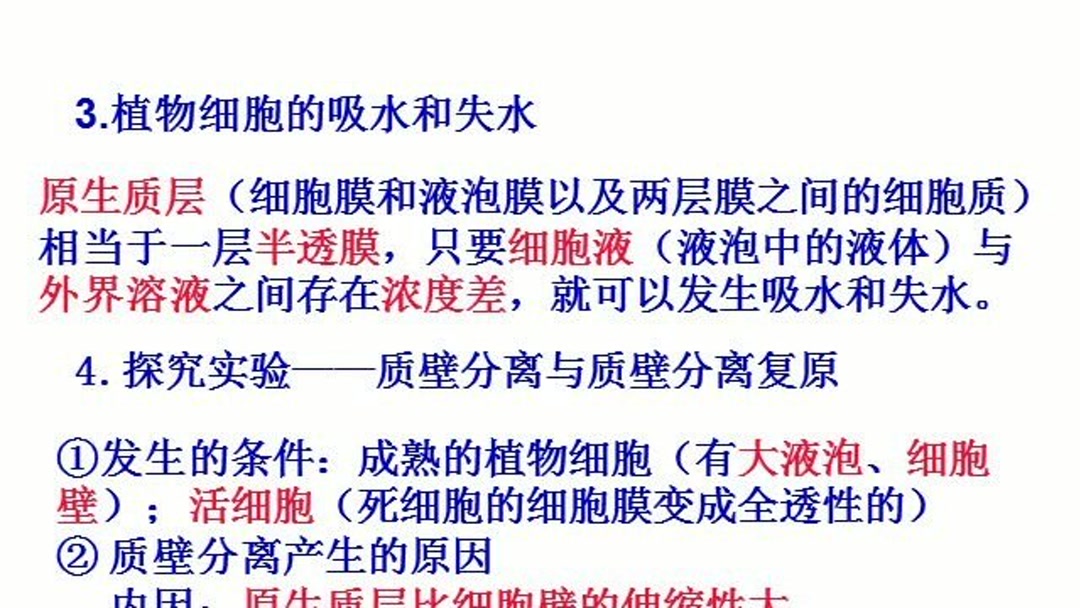 高中生物必修一第四章复习课件讲解