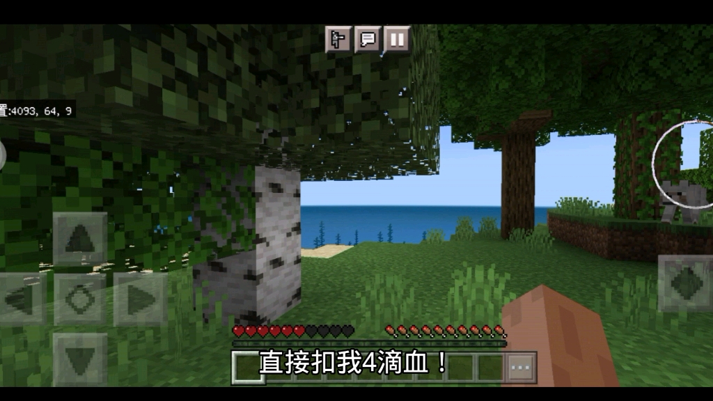 我的世界枪械生存(1)