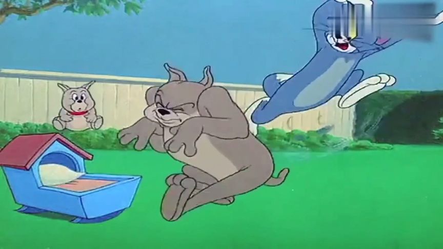 猫和老鼠:哈哈哈哈哈小狗狗太可爱了